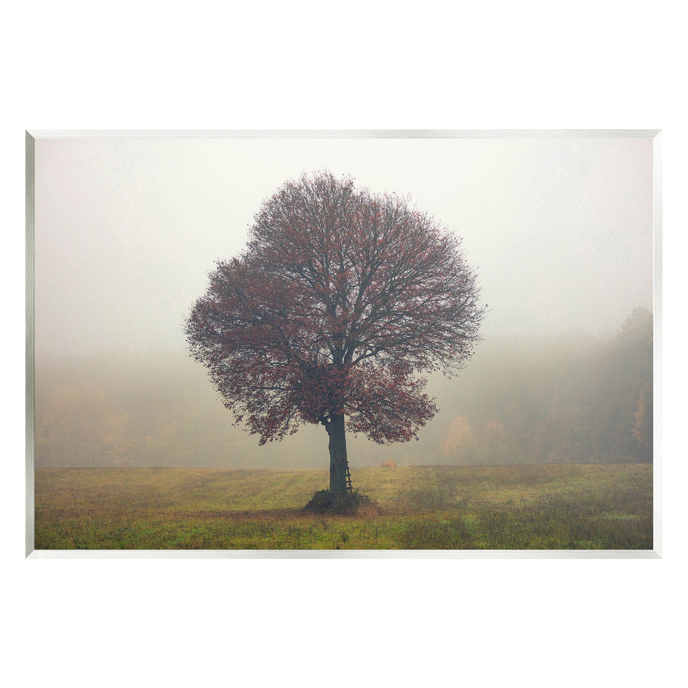 Stupell Industries Lone Tree Rural Grassland Wall Plaque Art By Igor ...