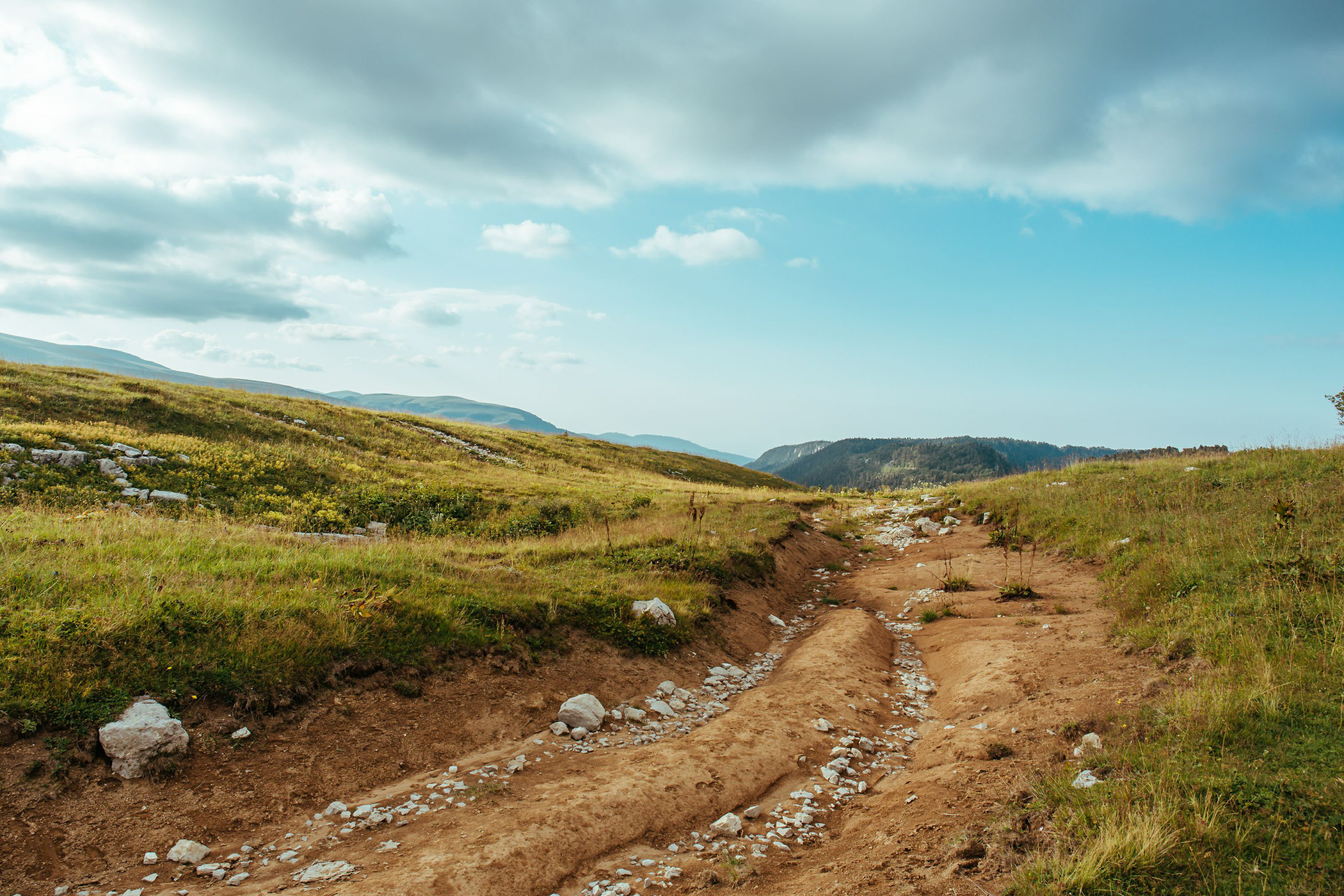 Millwood Pines Mountain Road - Wrapped Canvas Photograph | Wayfair