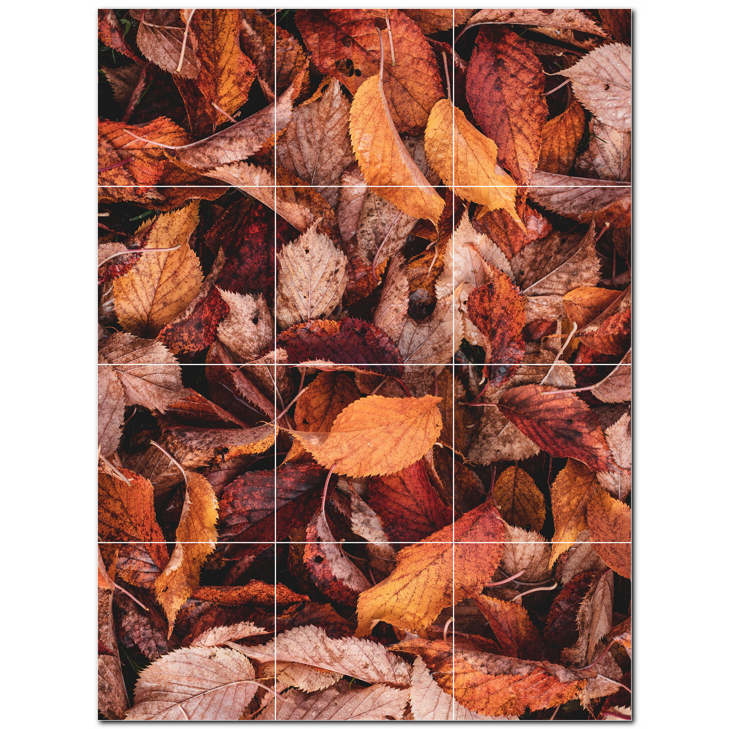 Picture-Tiles.com Autumn Photo 4.25'' x 4.25'' Satin Ceramic Decorative ...