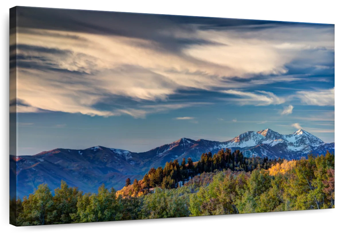 Millwood Pines Alvord Wasatch Mountain Range | Wayfair