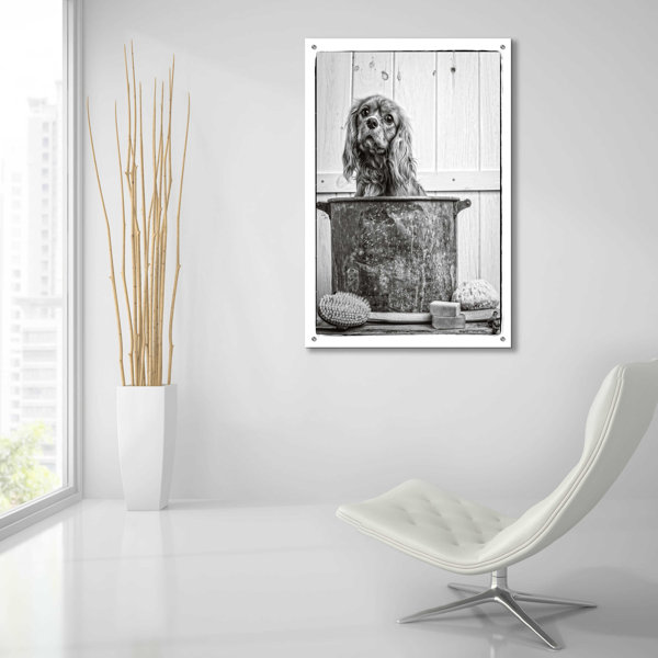Red Barrel Studio® Vintage Puppy Bath On Plastic / Acrylic by Edward M ...