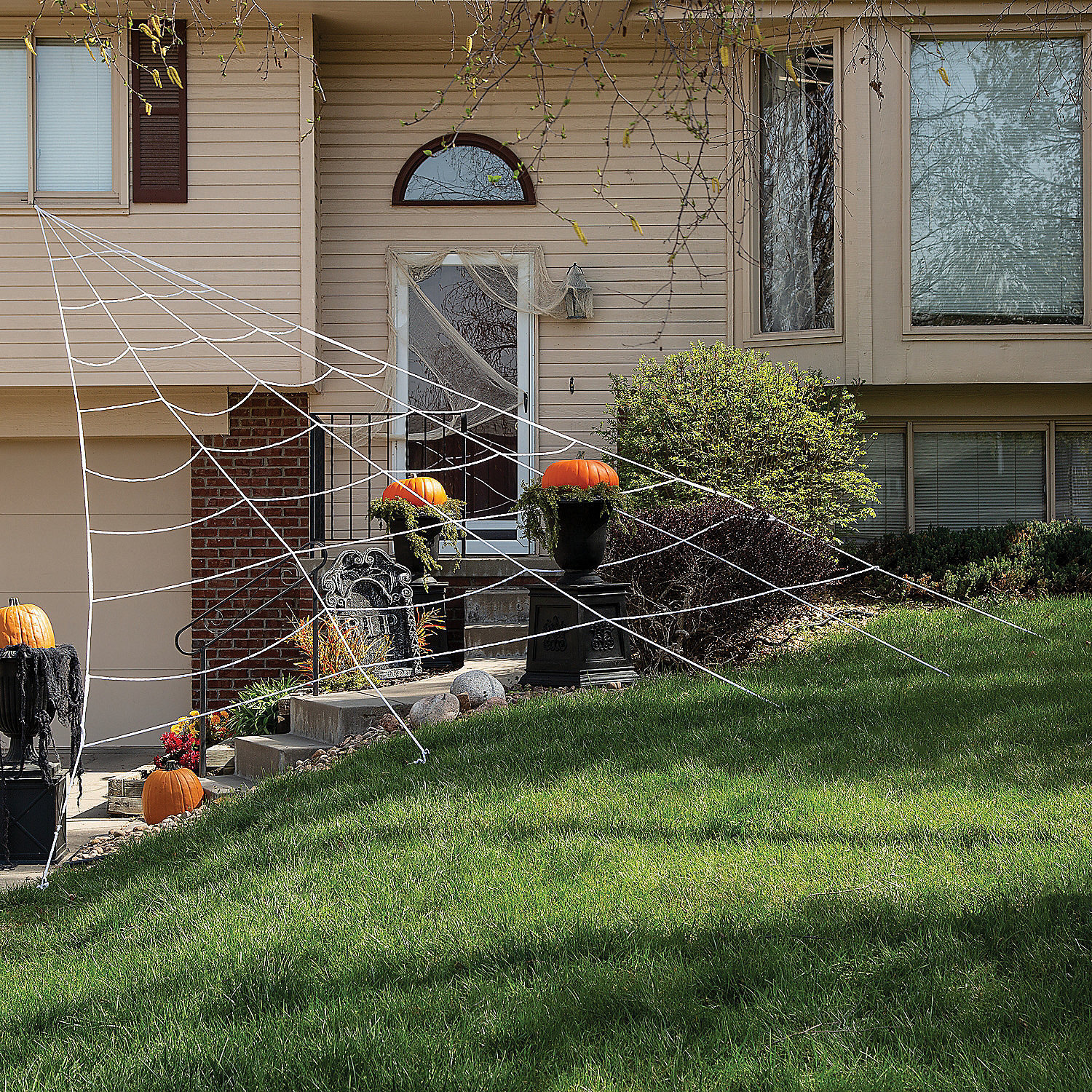 The Holiday Aisle® House Spider Web Decoration Home Accent & Reviews ...