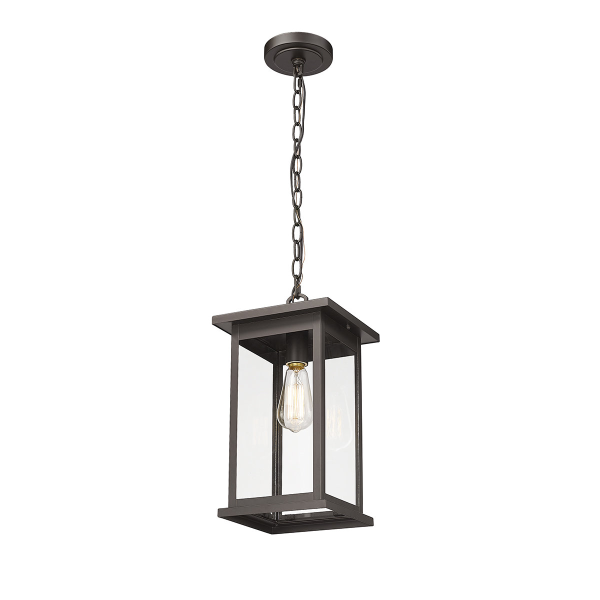 Beachcrest Home Arocho 1 -Bulb 15.63" H Outdoor Hanging Lantern ...