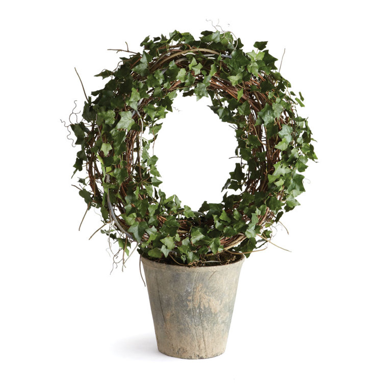 Napa Home & Garden 27.5'' Ivy Plant in Ceramic Pot | Wayfair