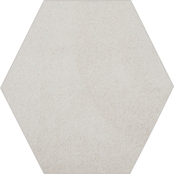 Ebern Designs Aaylah Octagon Braided Off White Area Rug | Wayfair
