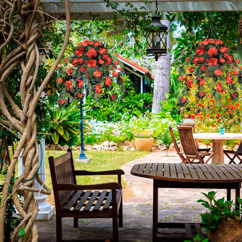 Primrue Lucero Geranium Hanging in Basket | Wayfair