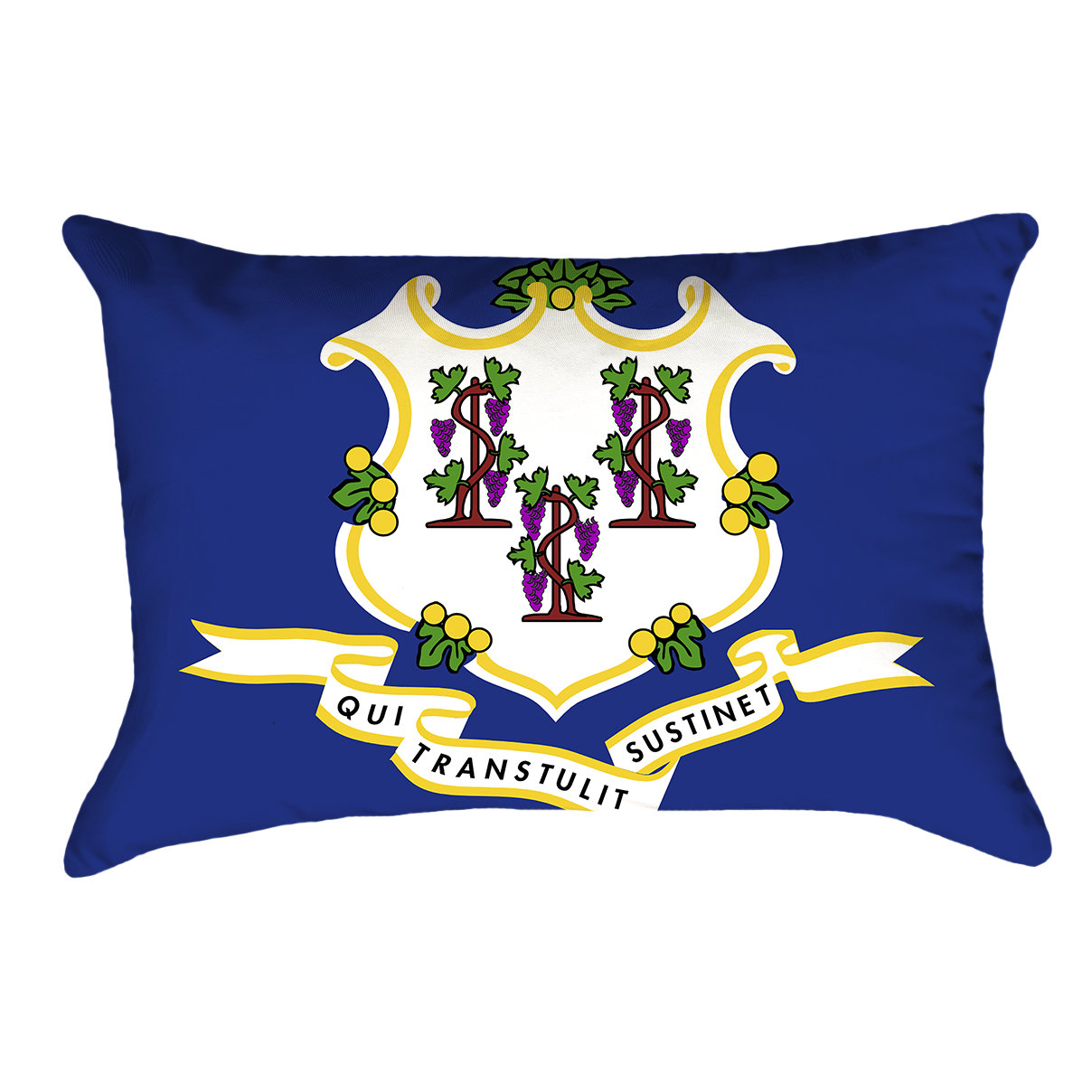 ArtVerse Centers Connecticut Flag Pillow in , No UV/Waterproof/Mildew ...