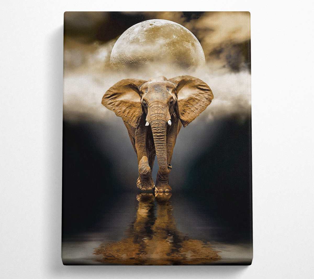 ClassicLiving Elephant Moon - No Frame Art Prints on Canvas | Wayfair.co.uk