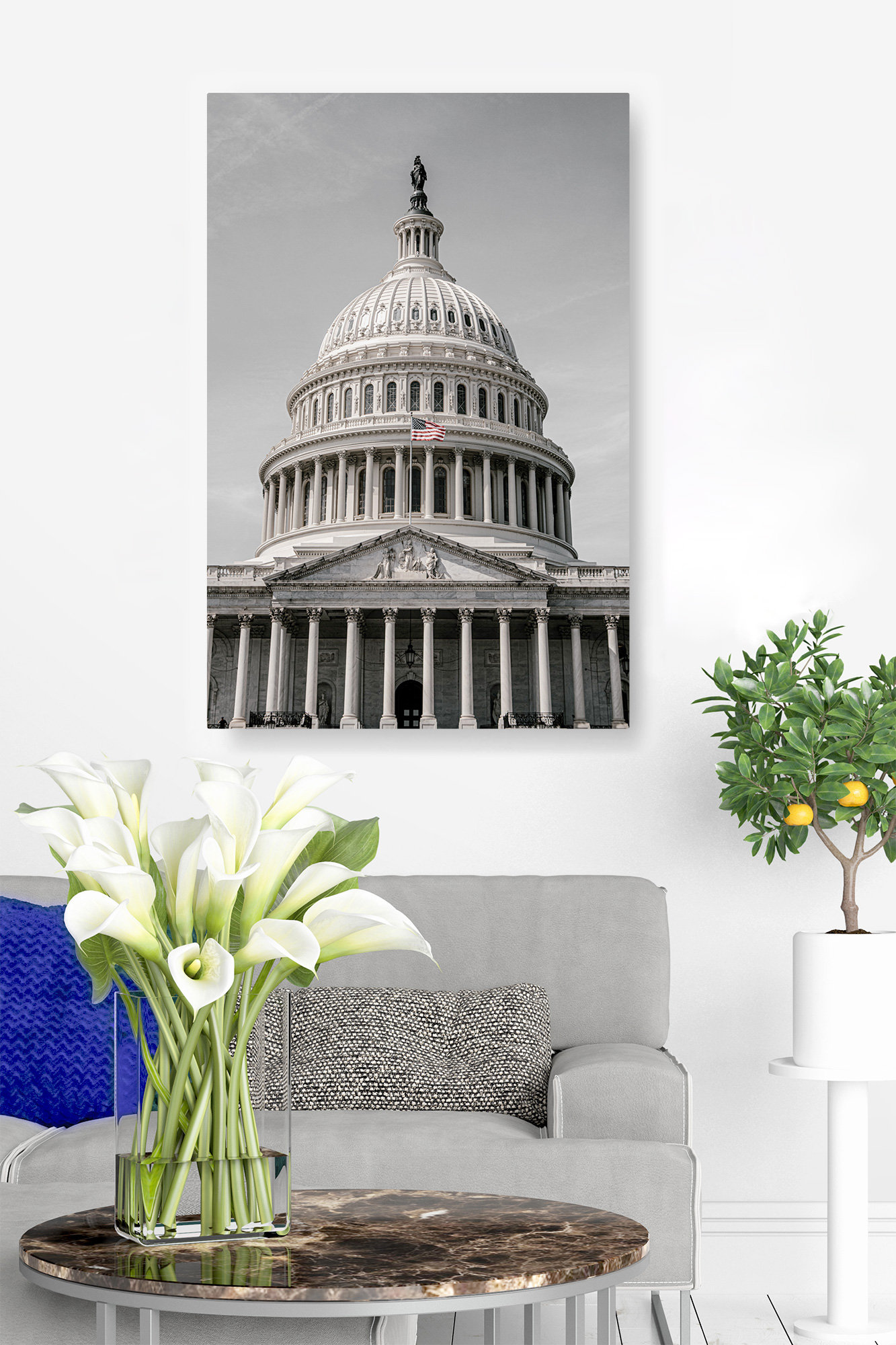 Latitude Run® U.S. Capitol Building, Rear, Dome, Flag | Wayfair