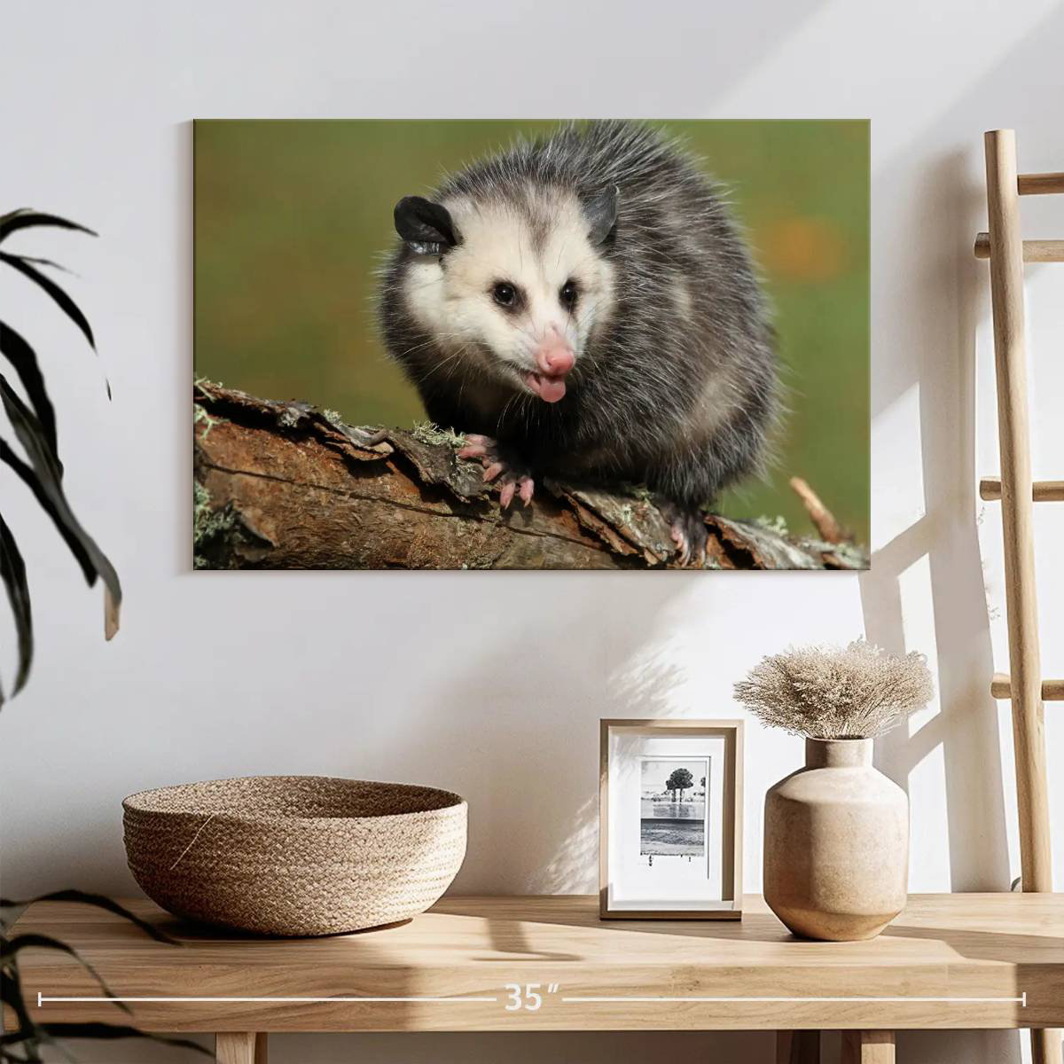 Ebern Designs Brampt Angry Opossum | Wayfair