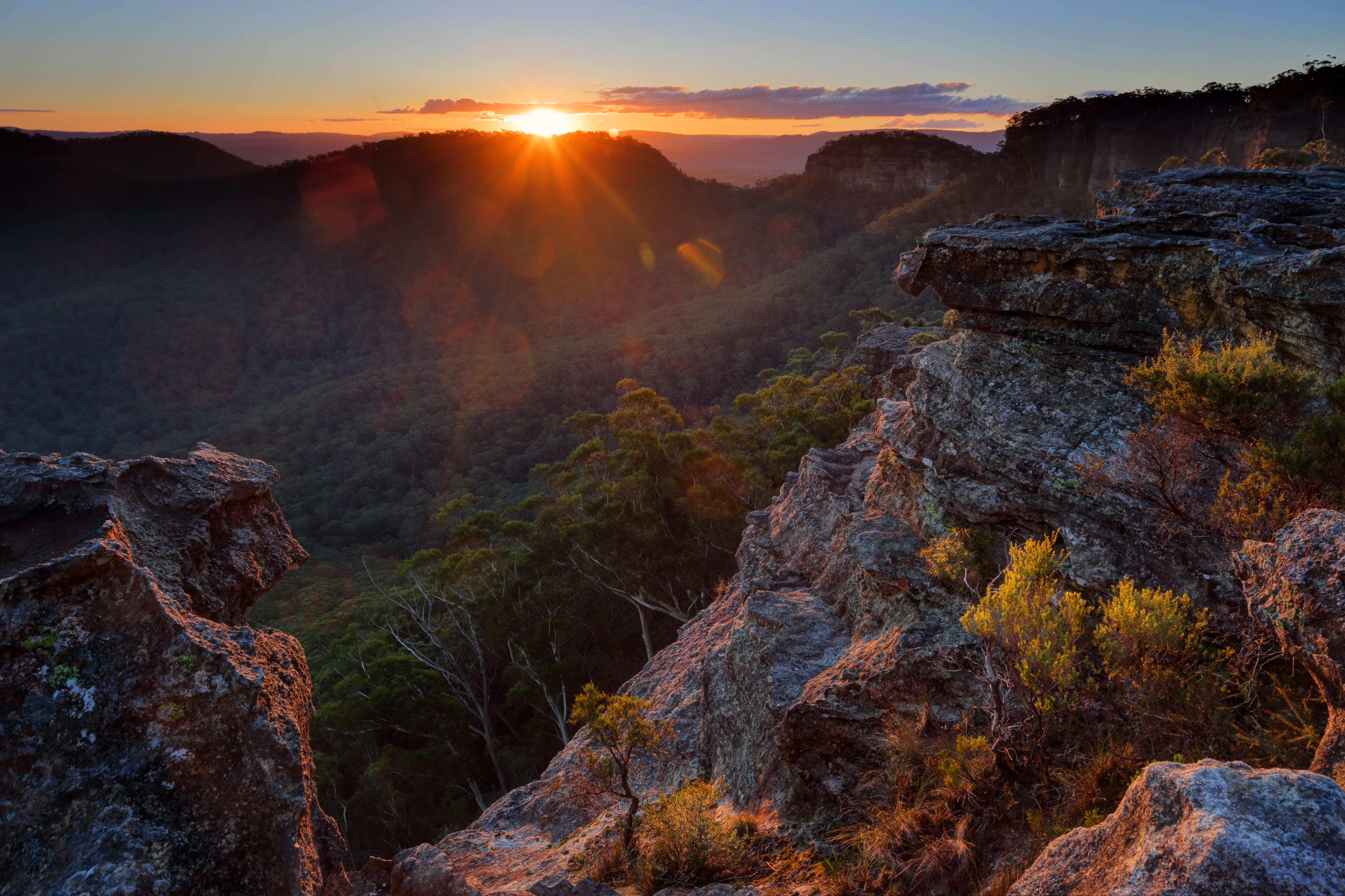 Millwood Pines Sunrays At Sunset Rock Mt Victoria - Wayfair Canada