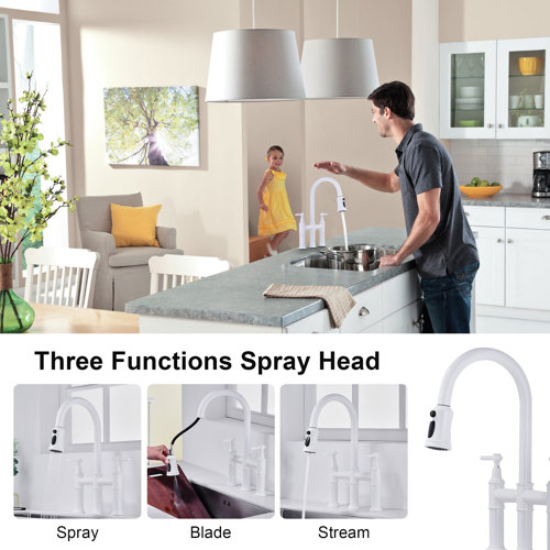 WESTINUS Pull Out Kitchen Faucet | Wayfair