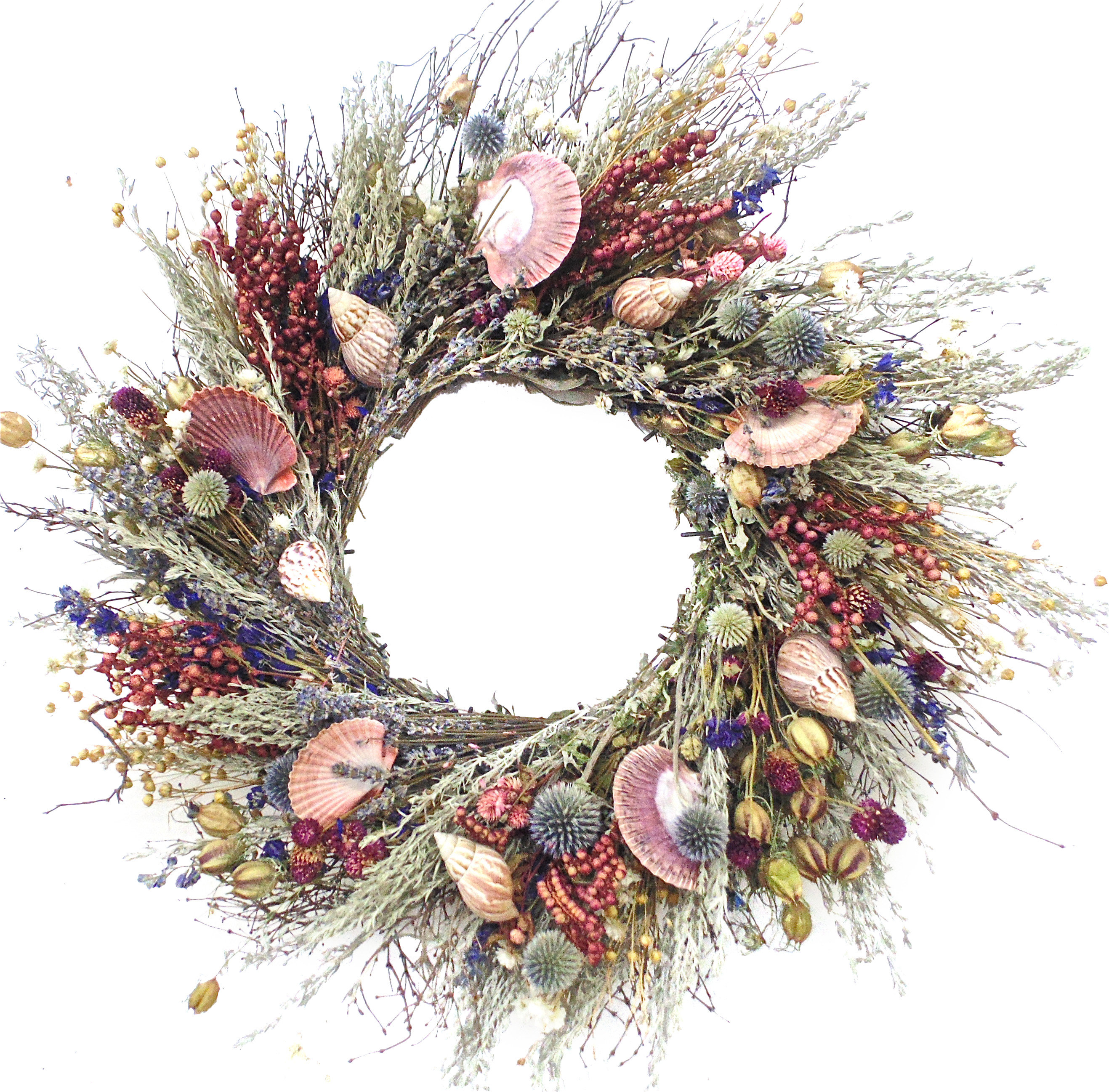 Dried Flowers and Wreaths LLC Clam and Conch 22" Wreath & Reviews | Wayfair
