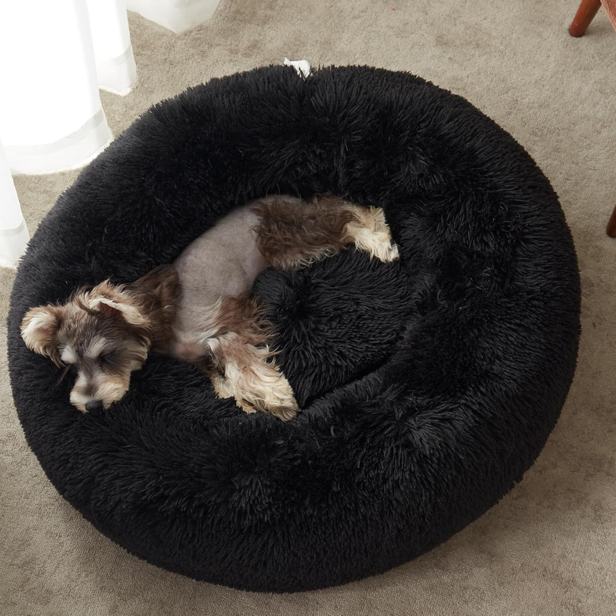 Archie & Oscar™ Calming Dog Bed & Cat Bed, Anti-Anxiety Donut Dog ...