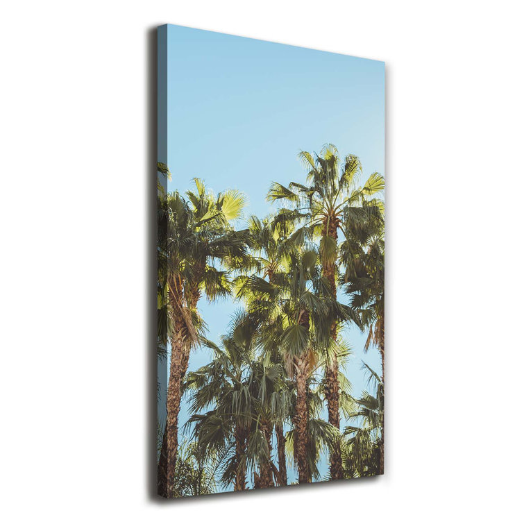 Bay Isle Home Palm Trees - Wrapped Canvas Print | Wayfair.co.uk