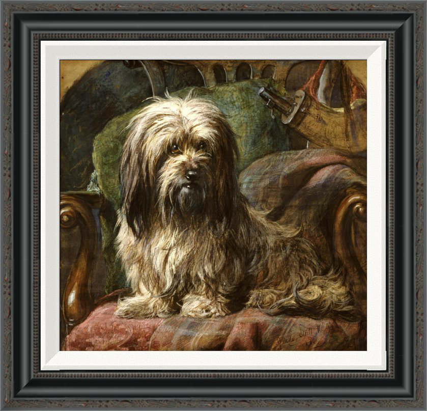 Global Gallery 'A Dandy Dinmont' by Gourlay Steel Framed Painting Print ...