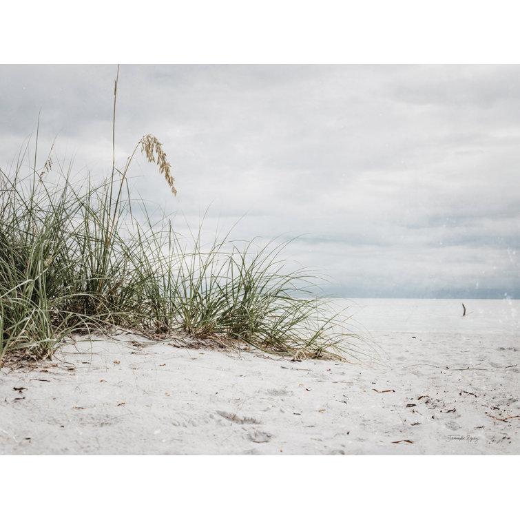 Highland Dunes Vintage Beach Grass II by Jennifer Rigsby | Wayfair