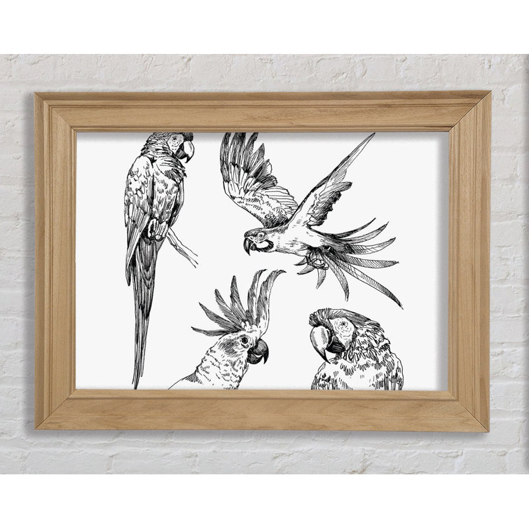 Bright Star Parrots In Flight Illustration - Single Picture Frame Print ...