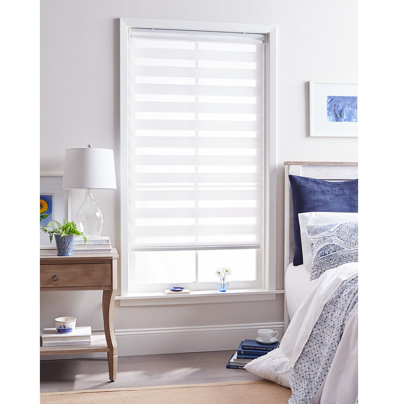 Charlton Home® Semi-Sheer Pleated Shade & Reviews | Wayfair