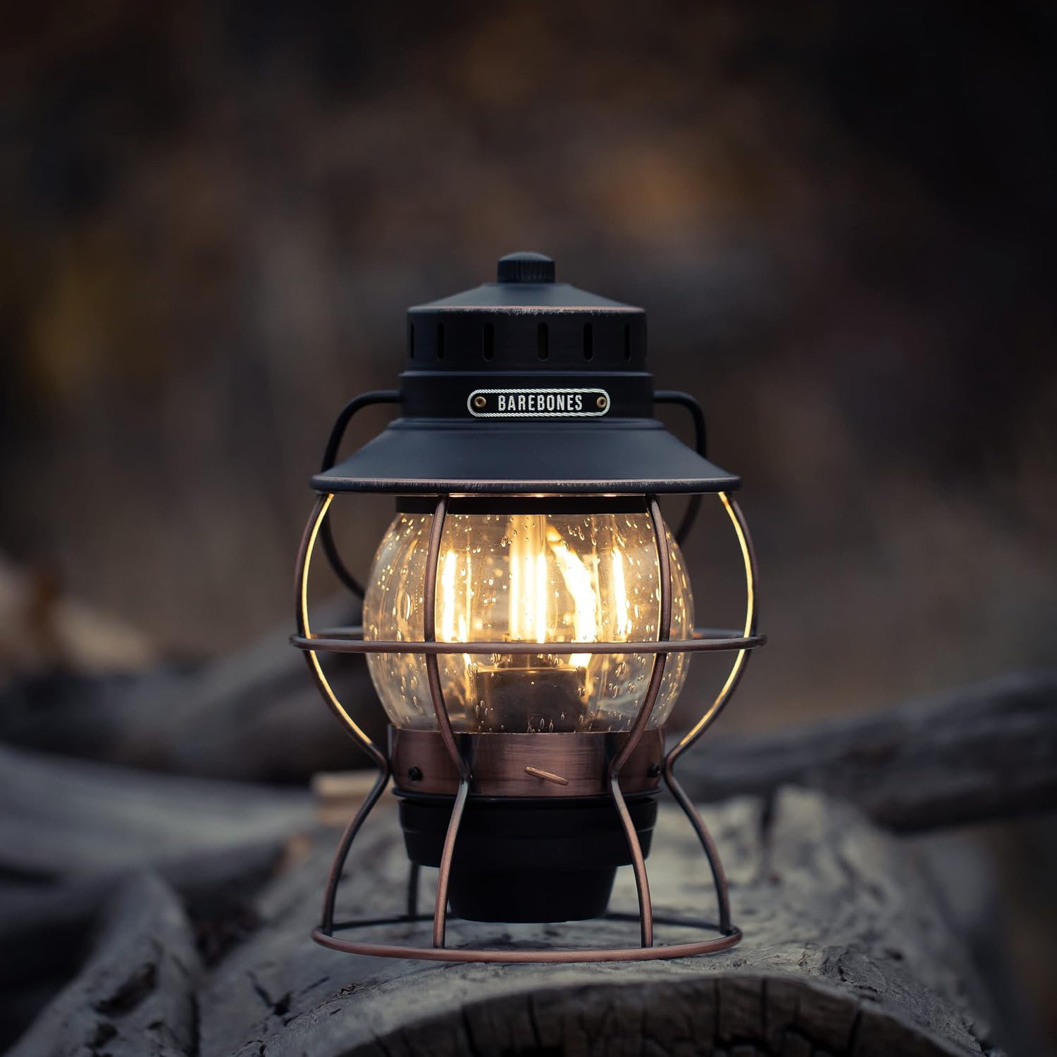 Fish hunter 9.5'' Solar Powered Integrated LED Outdoor Lantern | Wayfair