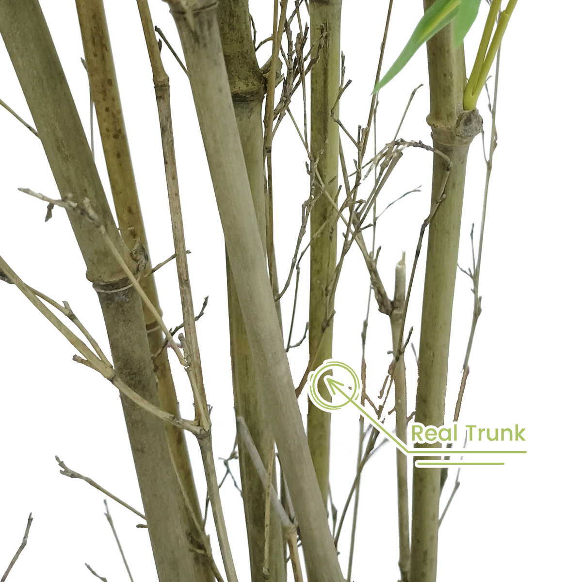 Primrue Bamboo Tree Artificial With Real Trunk And Lifelike Leaves ...