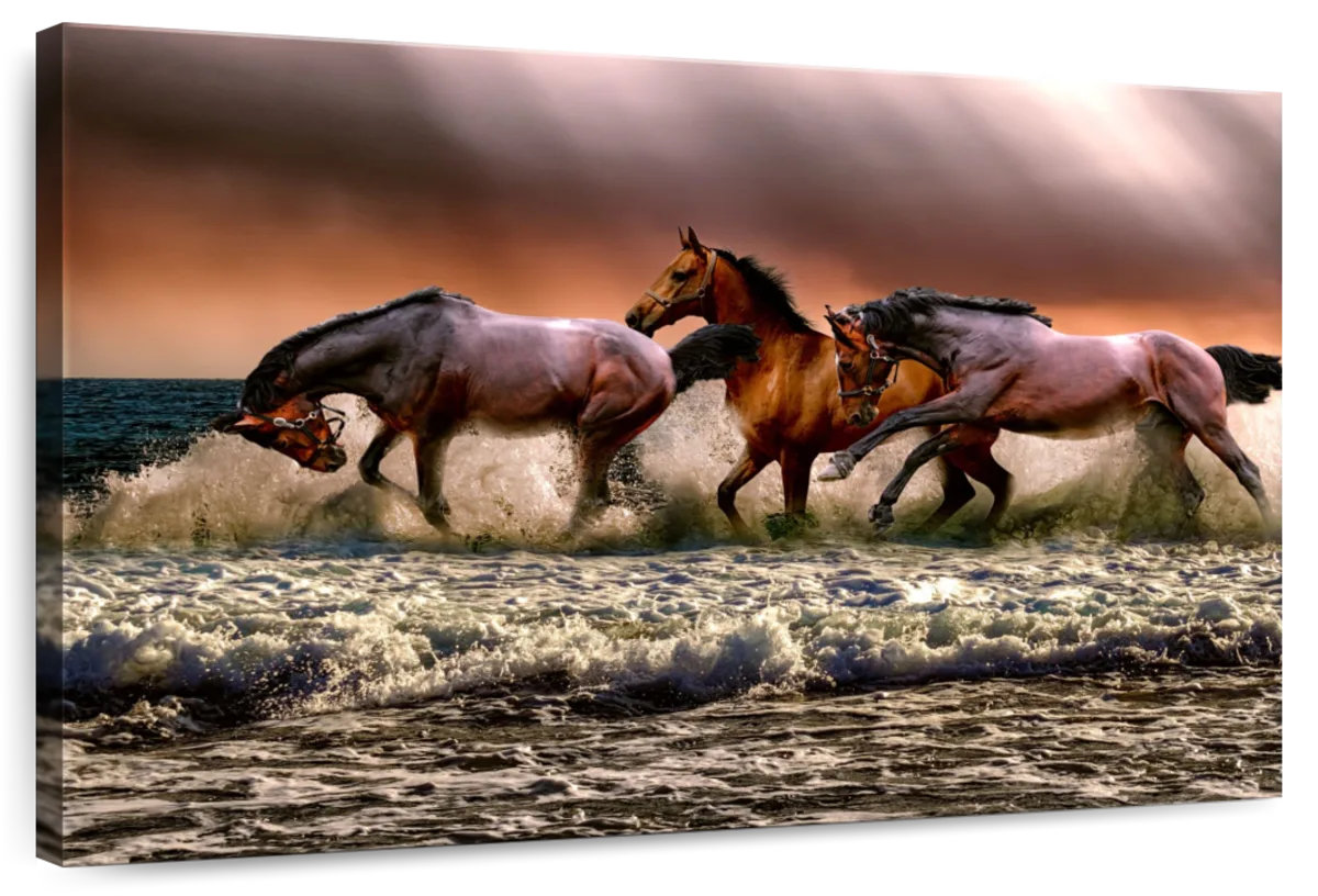 Ebern Designs Crowle Horses On Beach | Wayfair