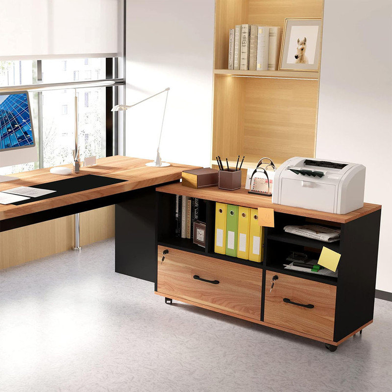 Latitude Run® 2 Drawer Mobile Lateral File Cabinet, Lockable Rolling ...