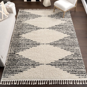 Shag Area Rugs You'll Love - Wayfair Canada