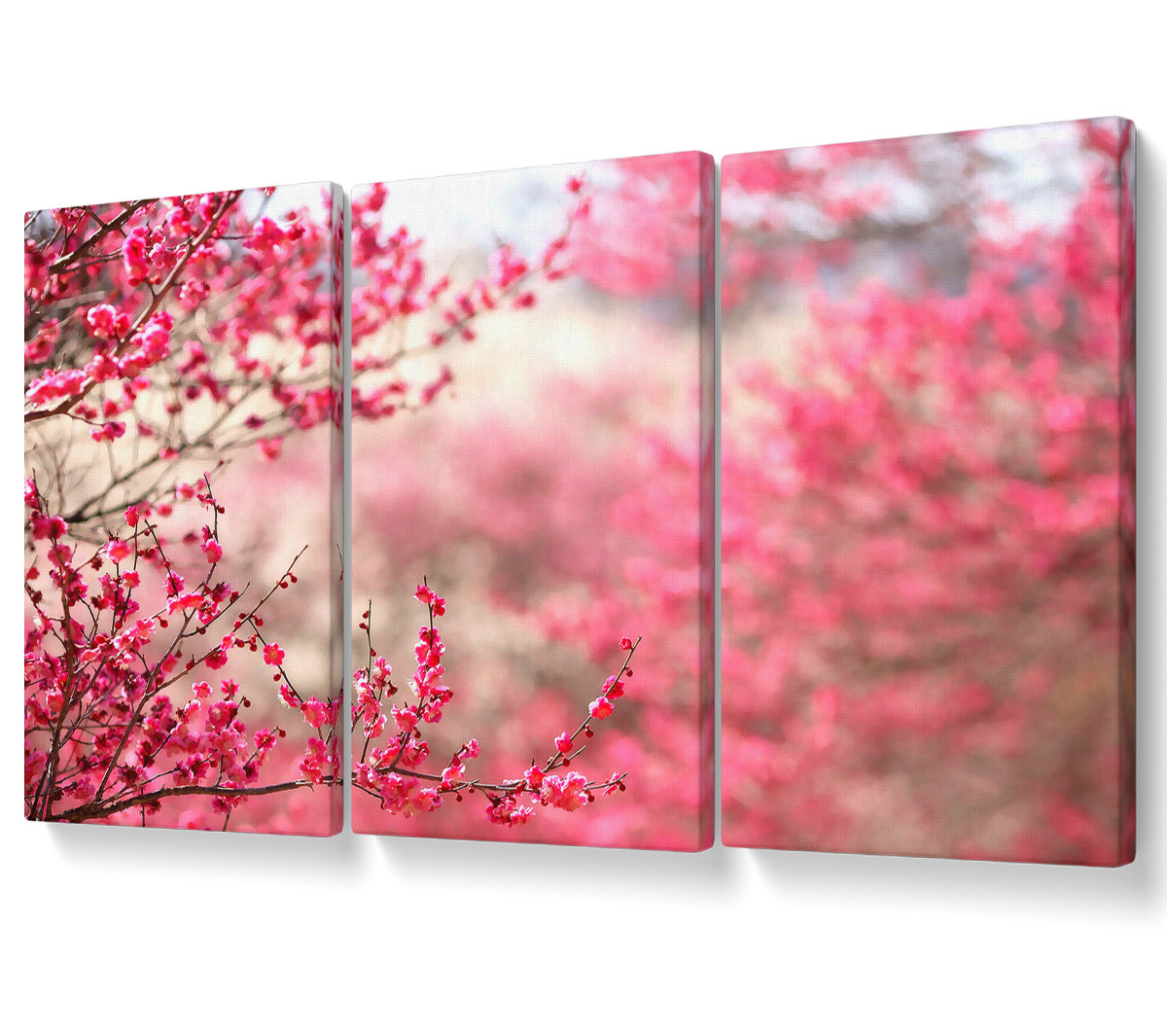 Ebern Designs Spring Signs - 3 Piece Wrapped Canvas Graphic Art ...