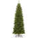 The Seasonal Aisle 8ft North Valley Spruce Pencil Slim Tree | Wayfair.co.uk