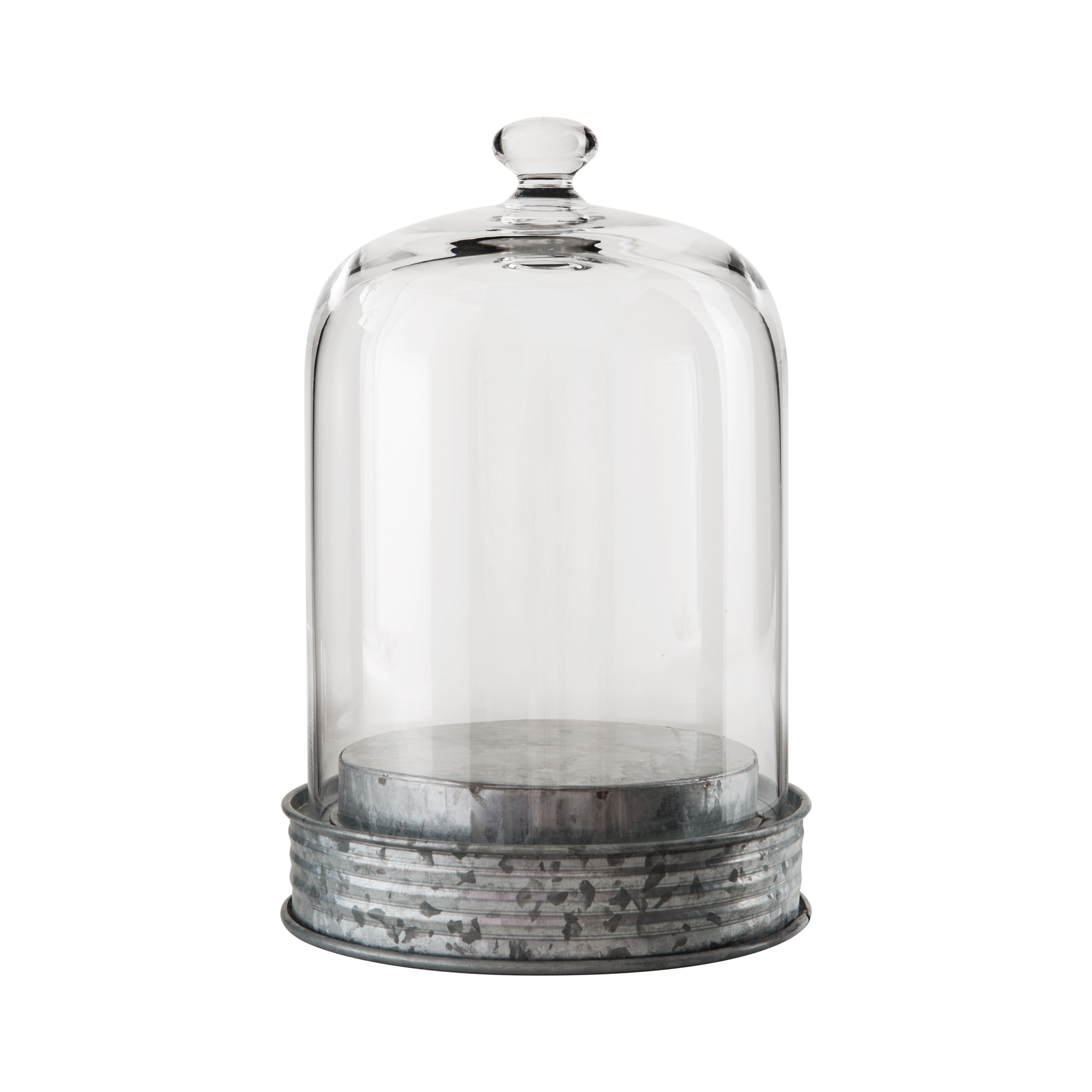 Gracie Oaks Botanical Cloche & Reviews | Wayfair