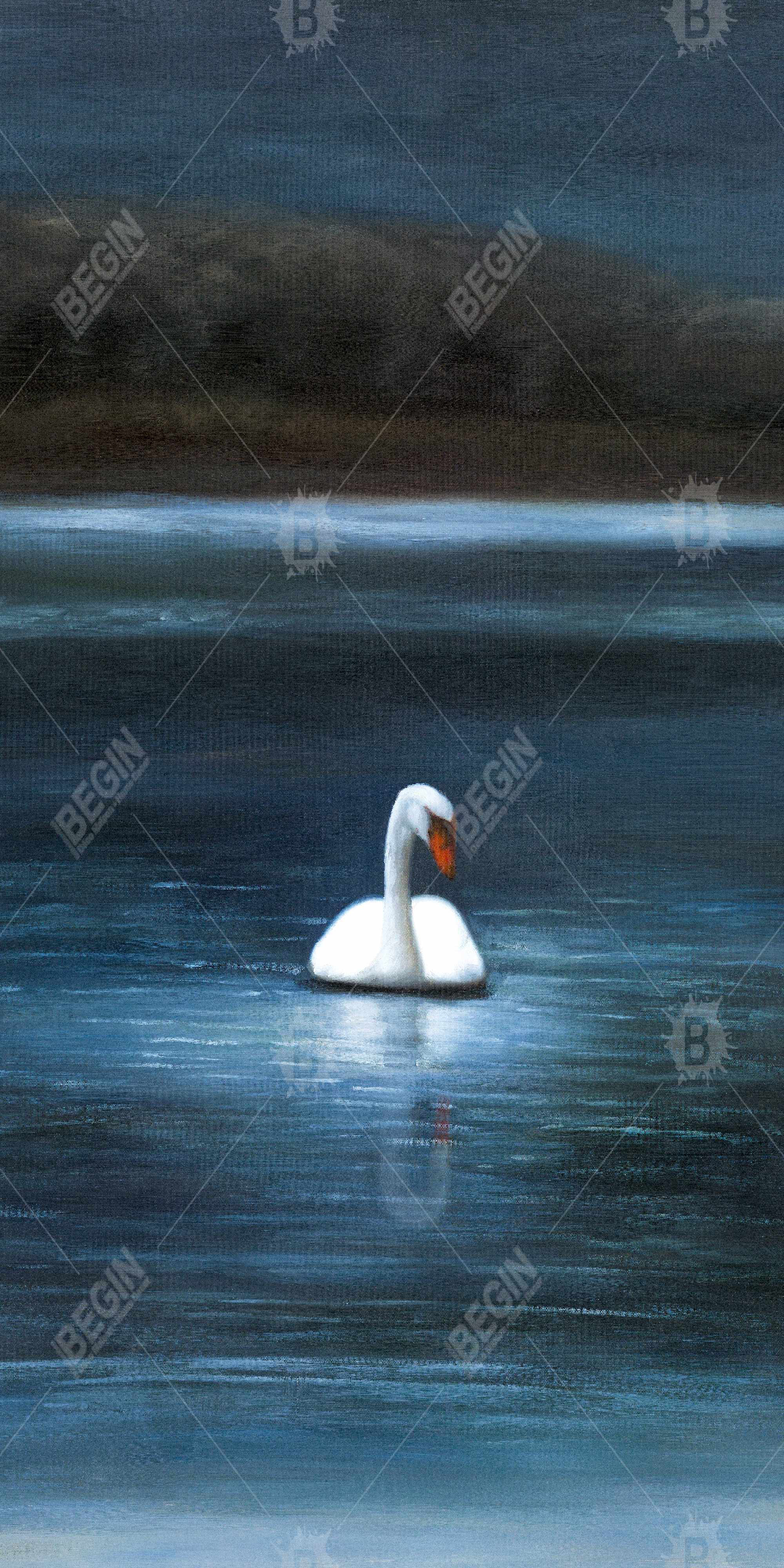Begin Edition International Inc. Beautiful swan - 15.75"x31.50" Desk ...