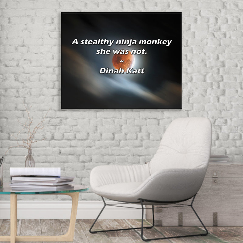 ninja monkey wallpaper