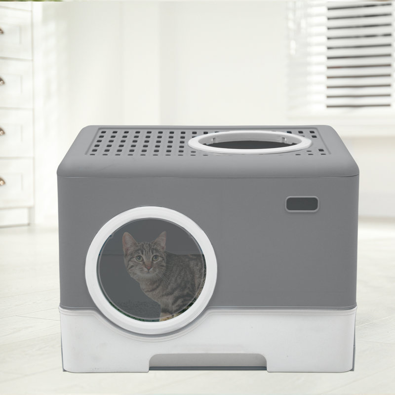 Archie & Oscar™ Denholme Standard Plastic Cat Litter Box with Scoop ...