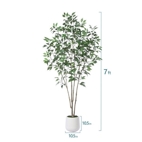 Primrue Adcock Faux Ficus Tree with Round White Planter, Pre Potted ...