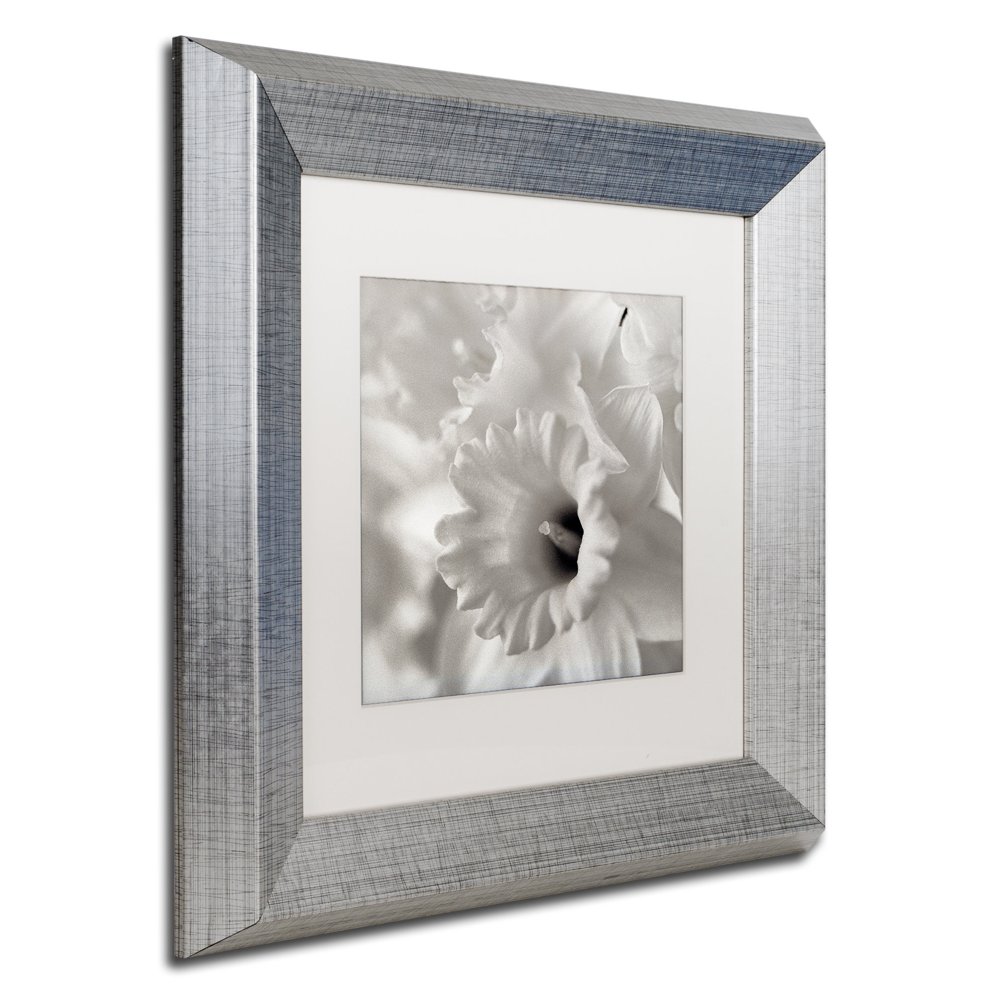 Ebern Designs Alan Blaustein 'Florison XLV' Framed Photographic Print ...