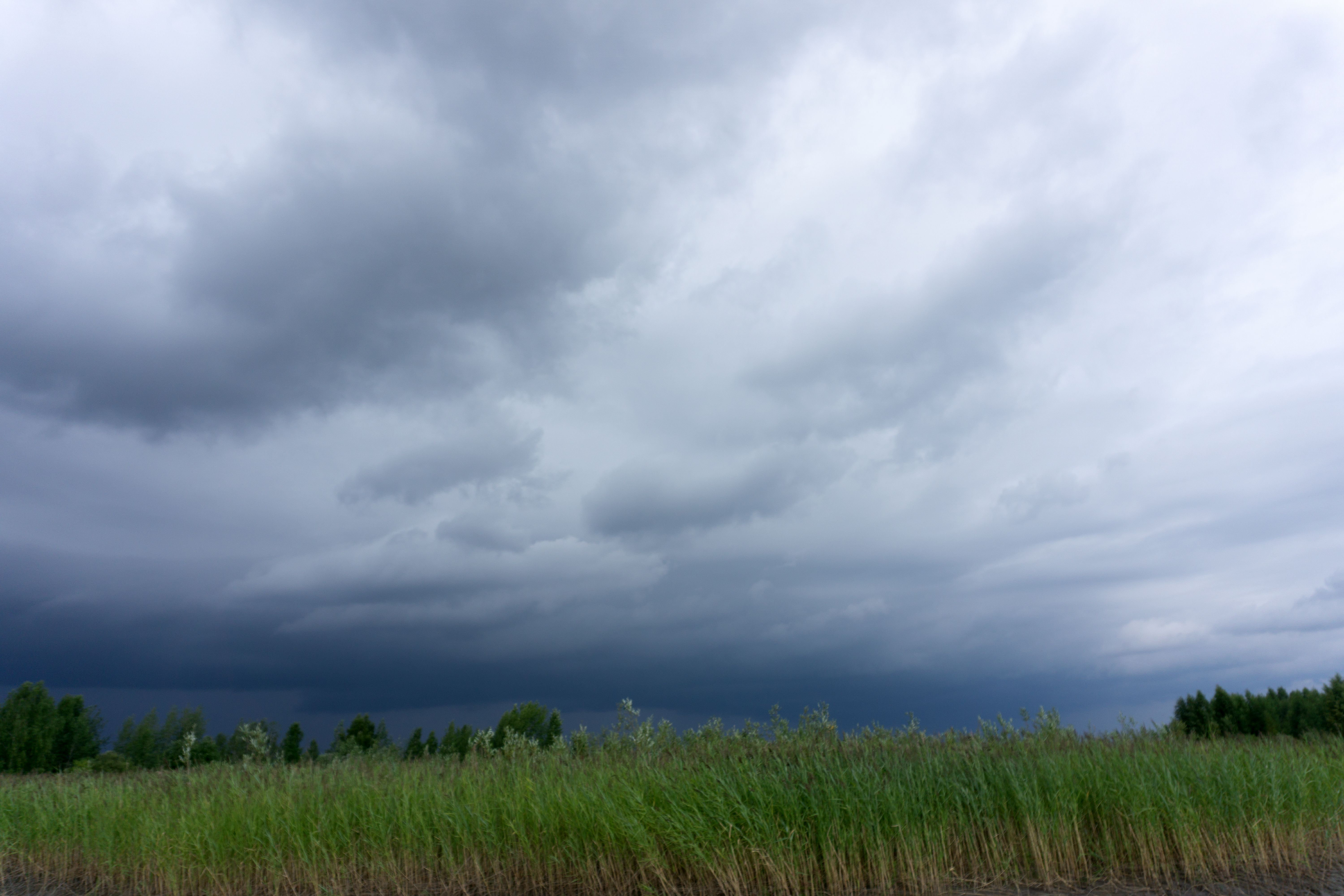 Ebern Designs Abstract Natural Backgrounds by Vitaly Faritovich ...