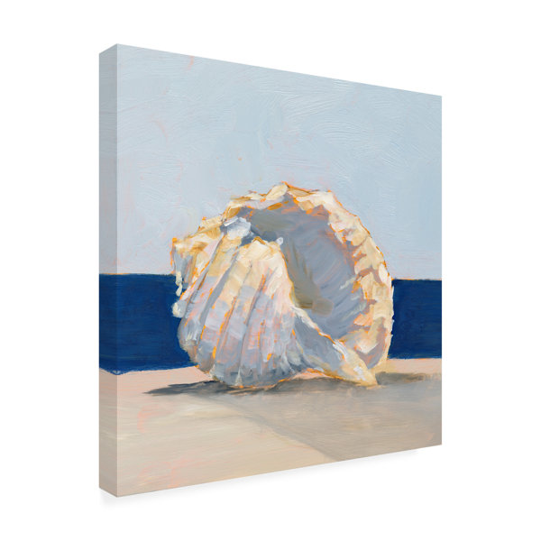 Highland Dunes " Shell By The Shore II " by Ethan Harper | Wayfair