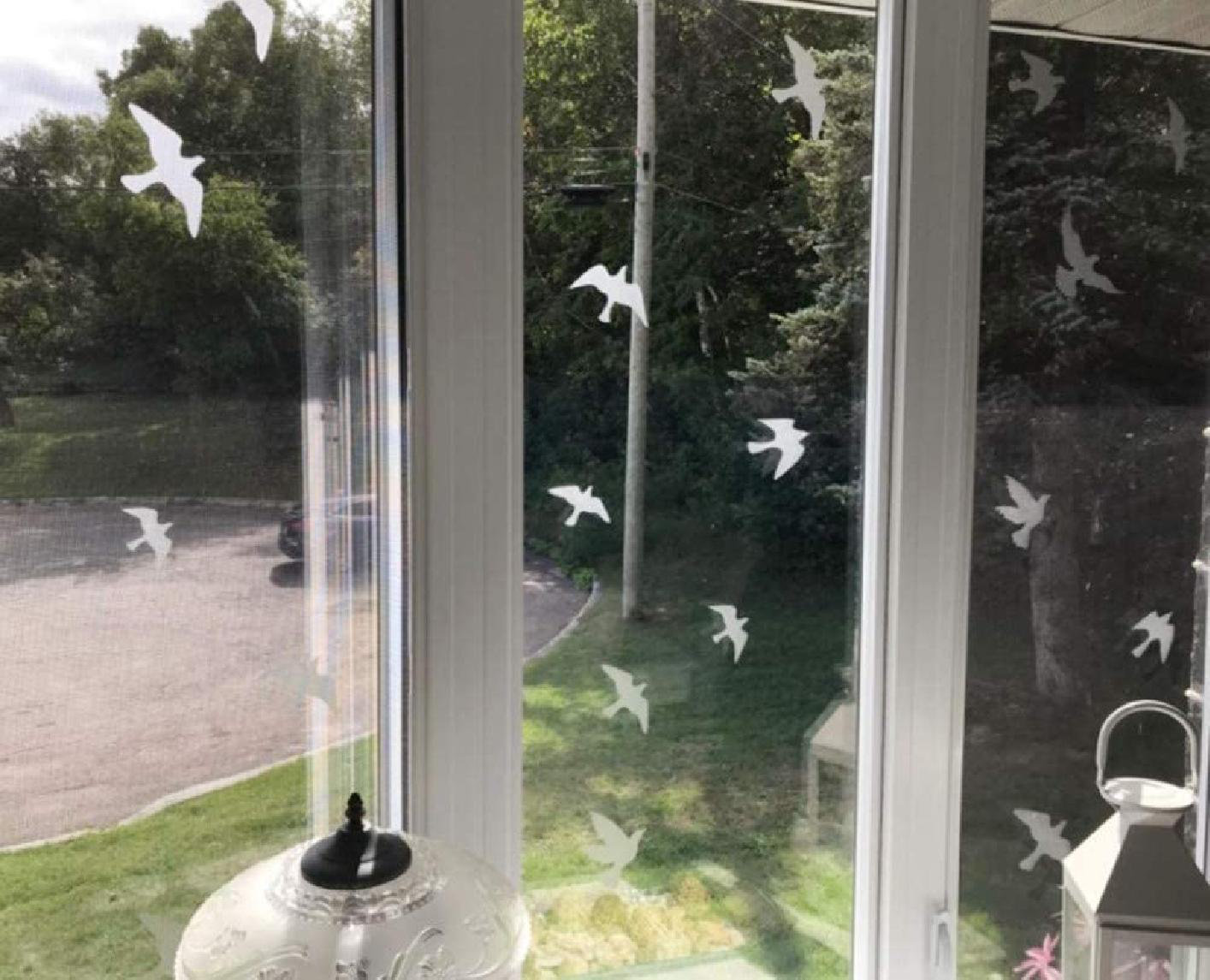 Red Barrel Studio® Animals Window Decal - Wayfair Canada