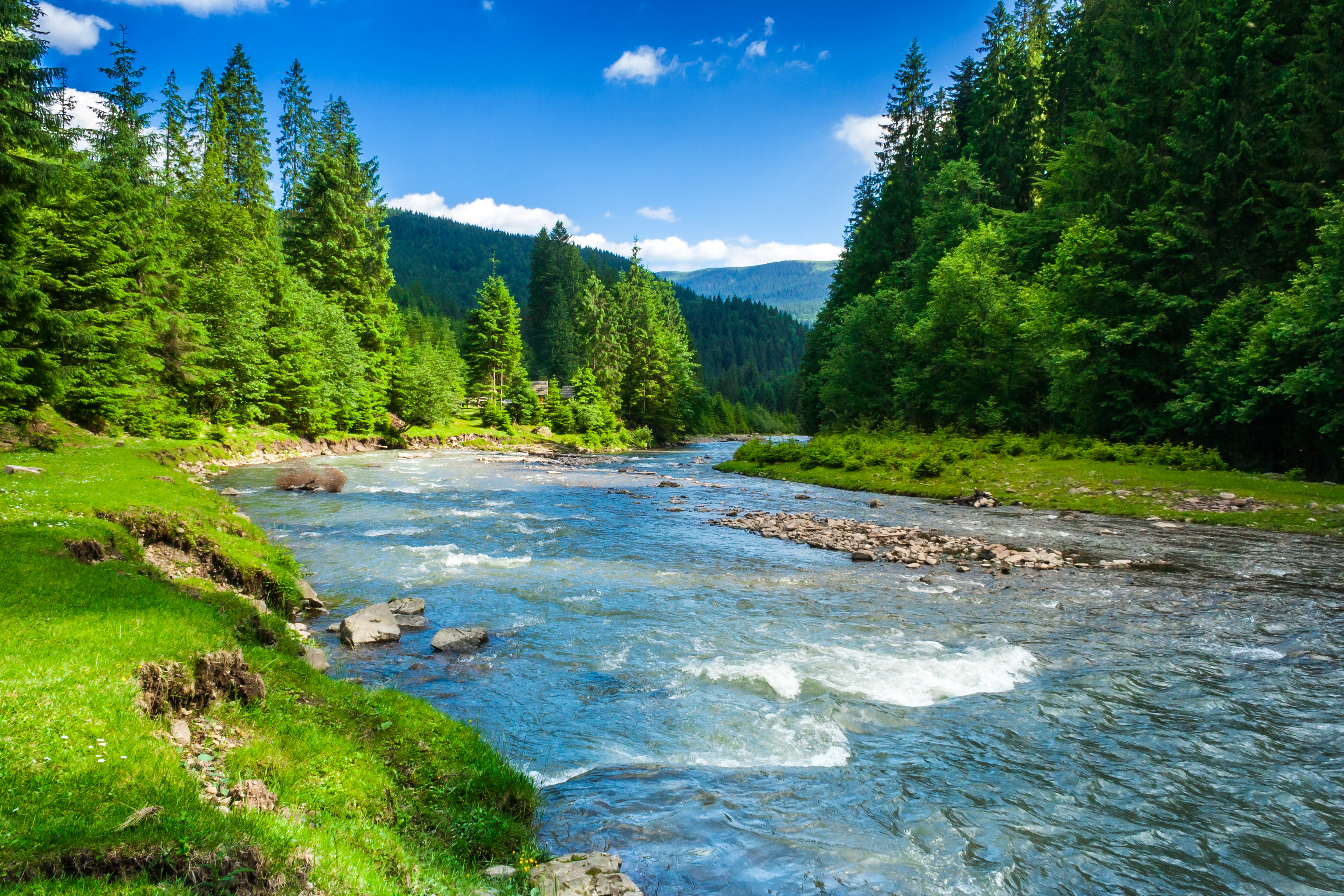 Millwood Pines Mountain River by Mike_Pellinni | Wayfair