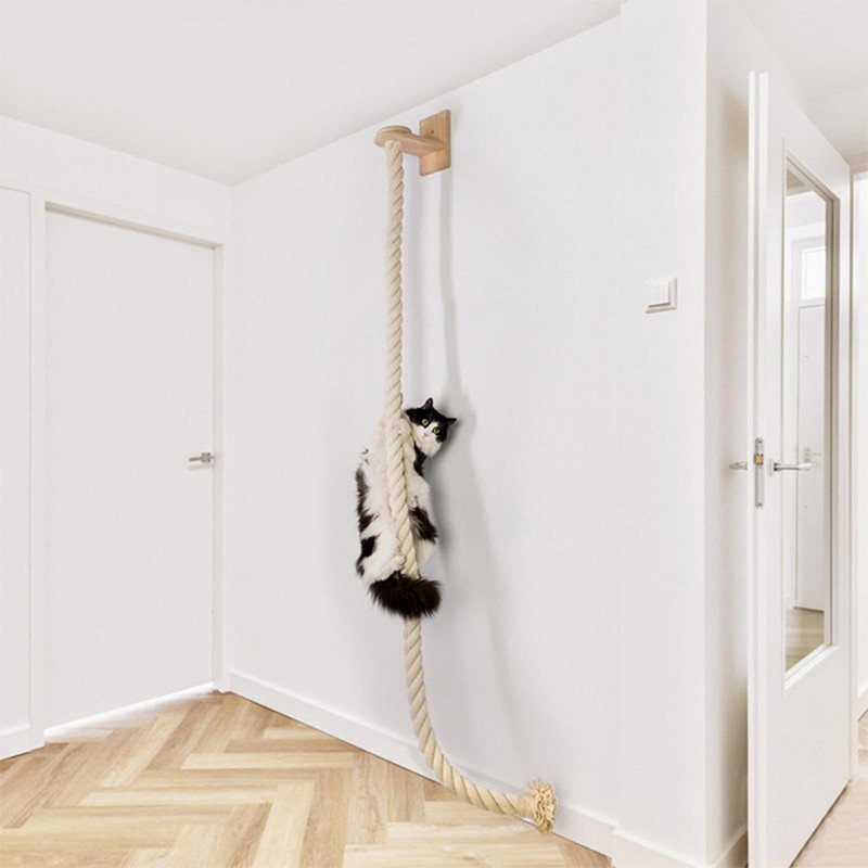 Tucker Murphy Pet™ 55" Cat Climbing Rope with Wood Shelf Wall Mounted ...