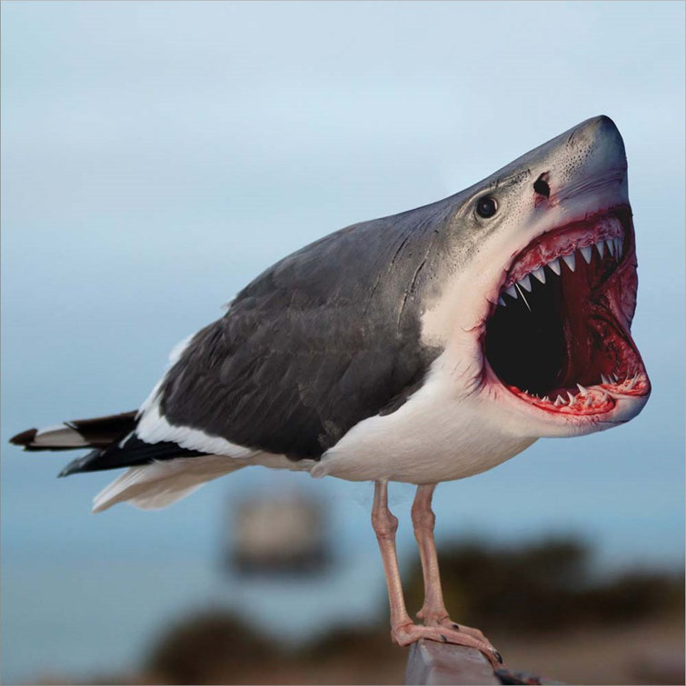 Trinx Sharkgull Framed On Paper by Pixelmated Animals Print - Wayfair ...