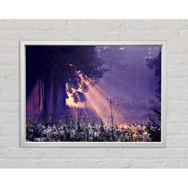 Bright Star Sunray Tree - Single Picture Frame Print on Canvas ...
