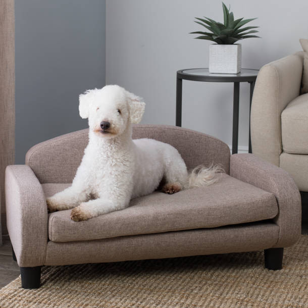 Tucker Murphy Pet™ 42" Hatch Kitty Playground Cat Tree & Reviews | Wayfair