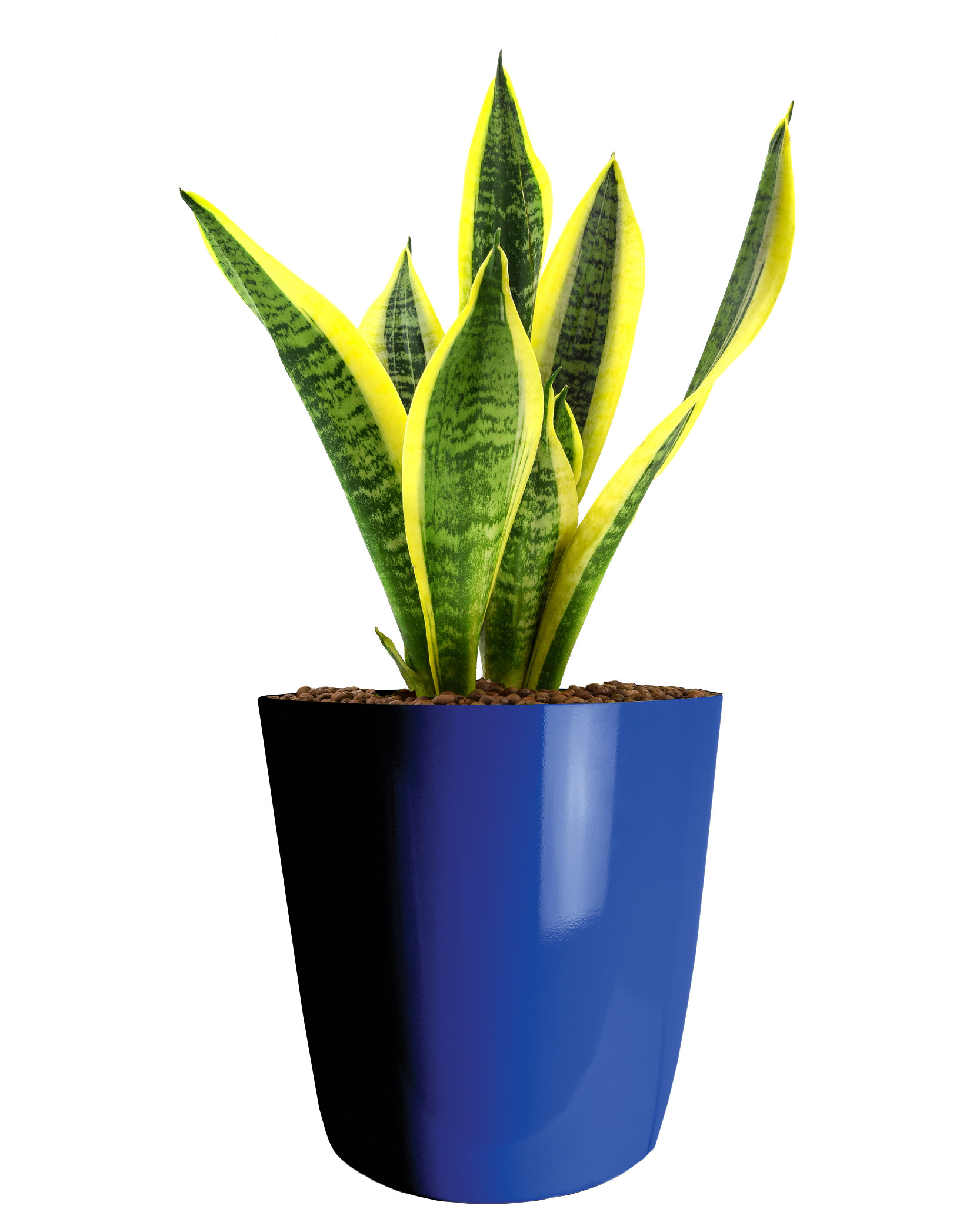 Ebern Designs 12 Inch Aria Round Self Watering Planter - Sapphire Blue | Wayfair