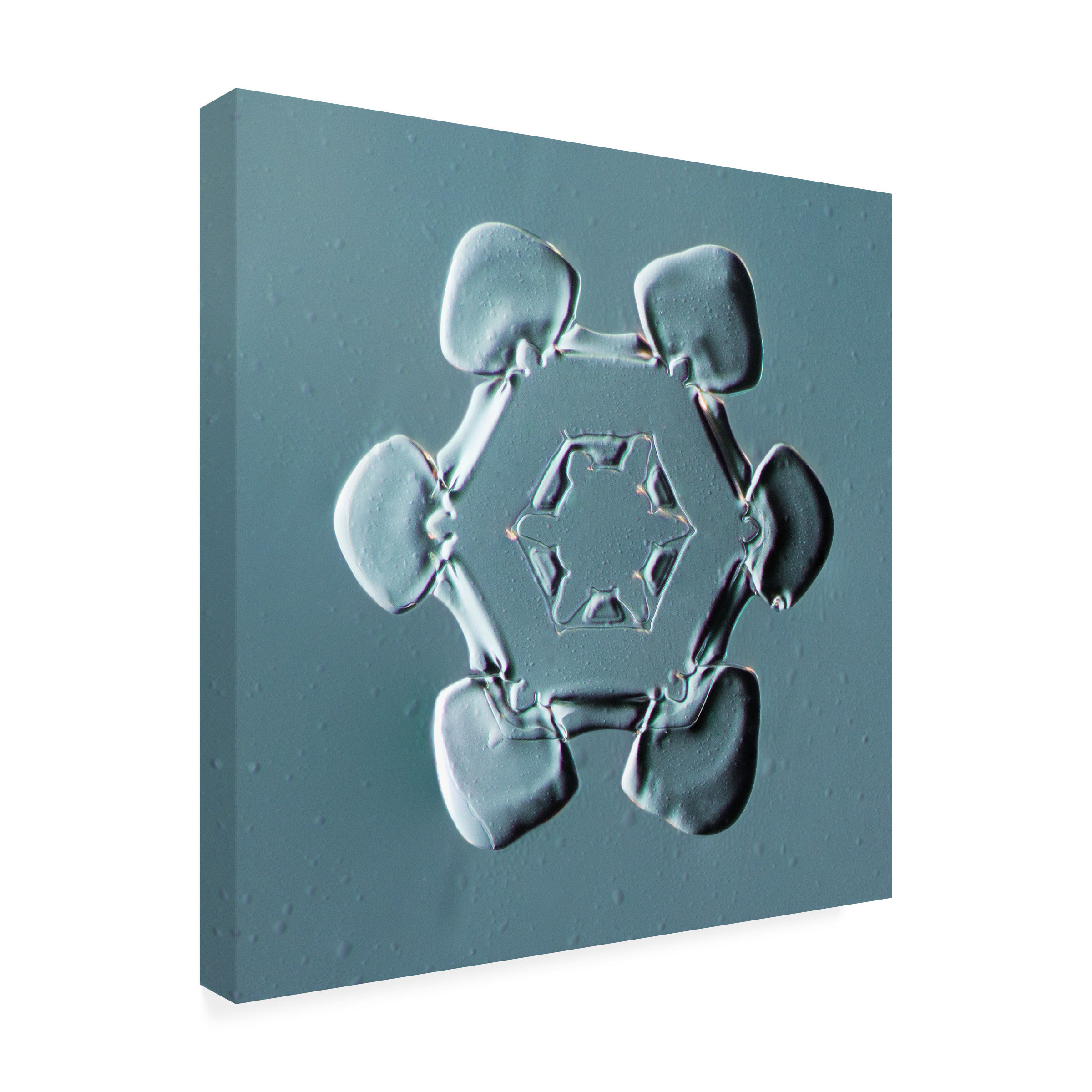 Ebern Designs Stellar Plate Snowflake 1 On Canvas Print | Wayfair