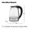 Hamilton Beach Variable Temperature Glass Kettle | Wayfair