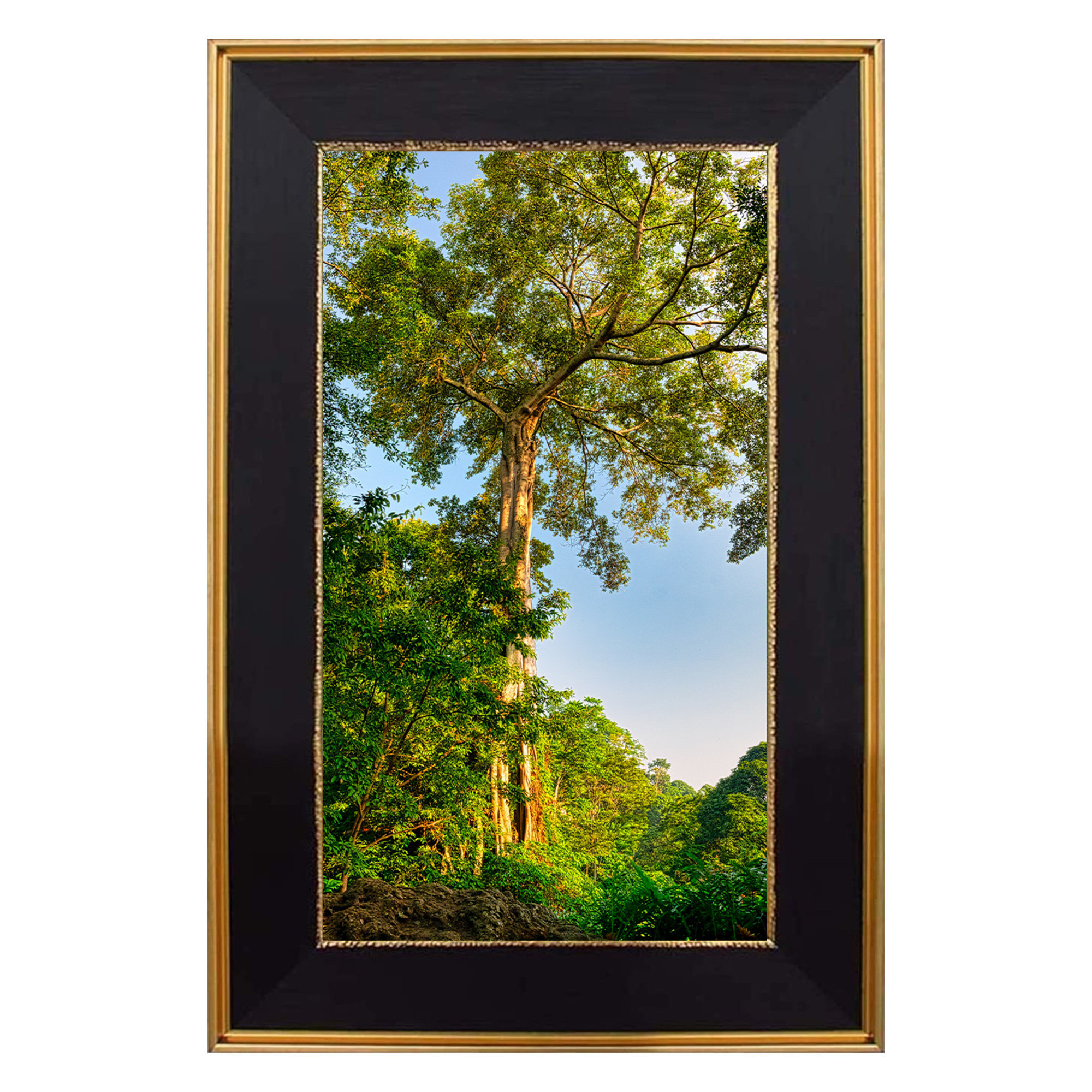 Winston Porter Jamie-Lewis Single Picture Frame - Wayfair Canada