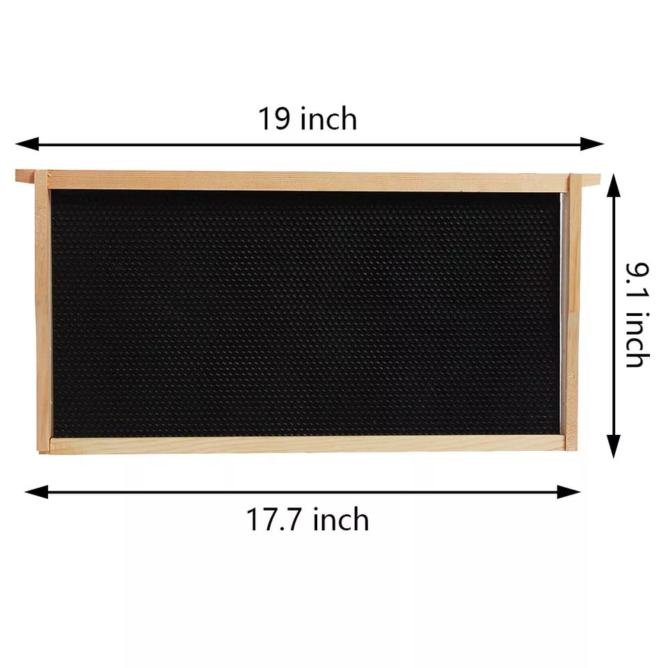 Gracie Oaks 10pcs Beehive Honey Hive Frame Bee Hives Bee Comb Hive ...