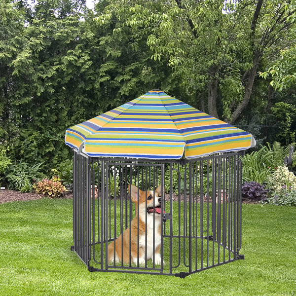 Pawhut Pet Pen & Reviews | Wayfair